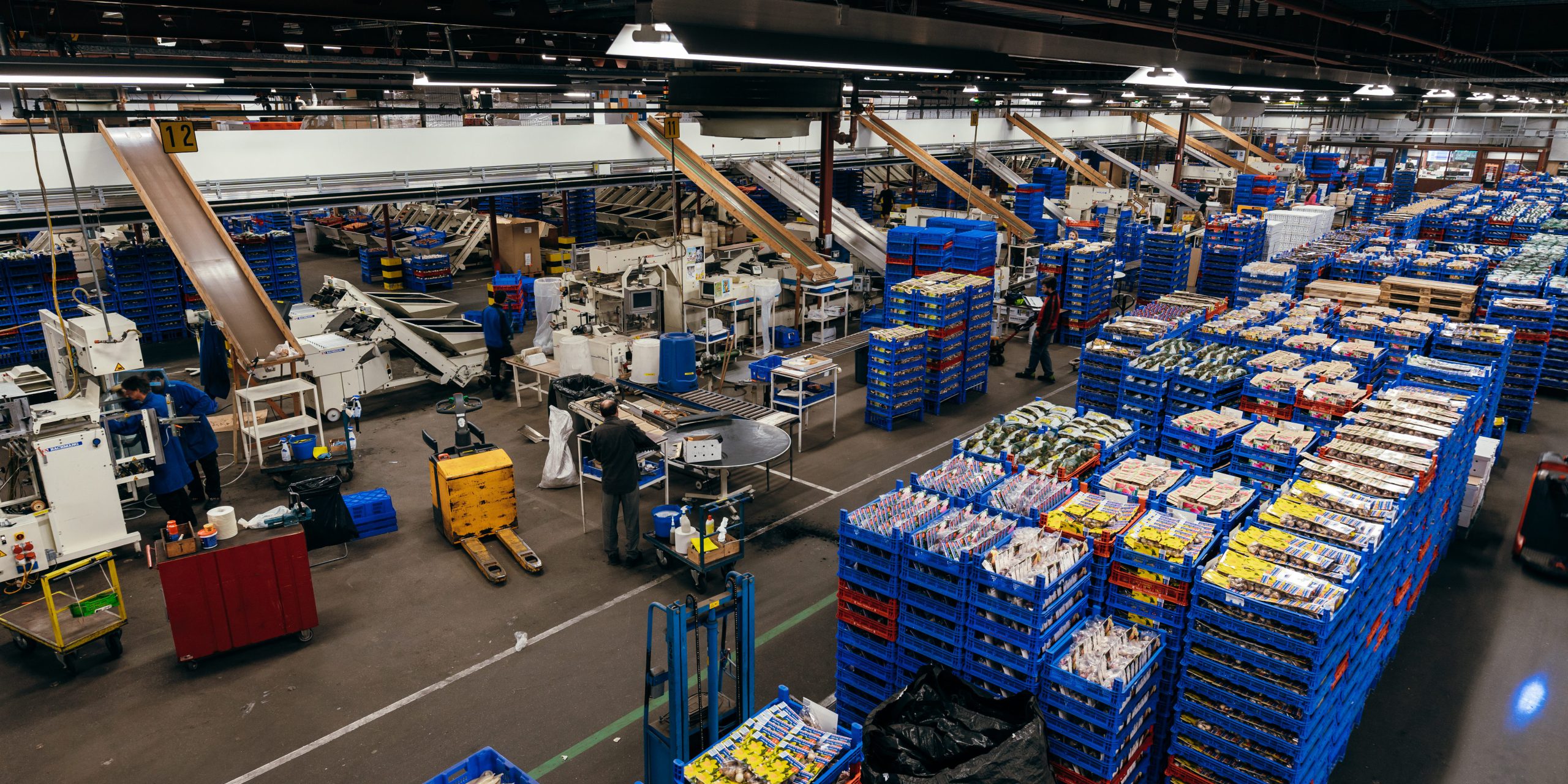 Production - Flexible Human Services